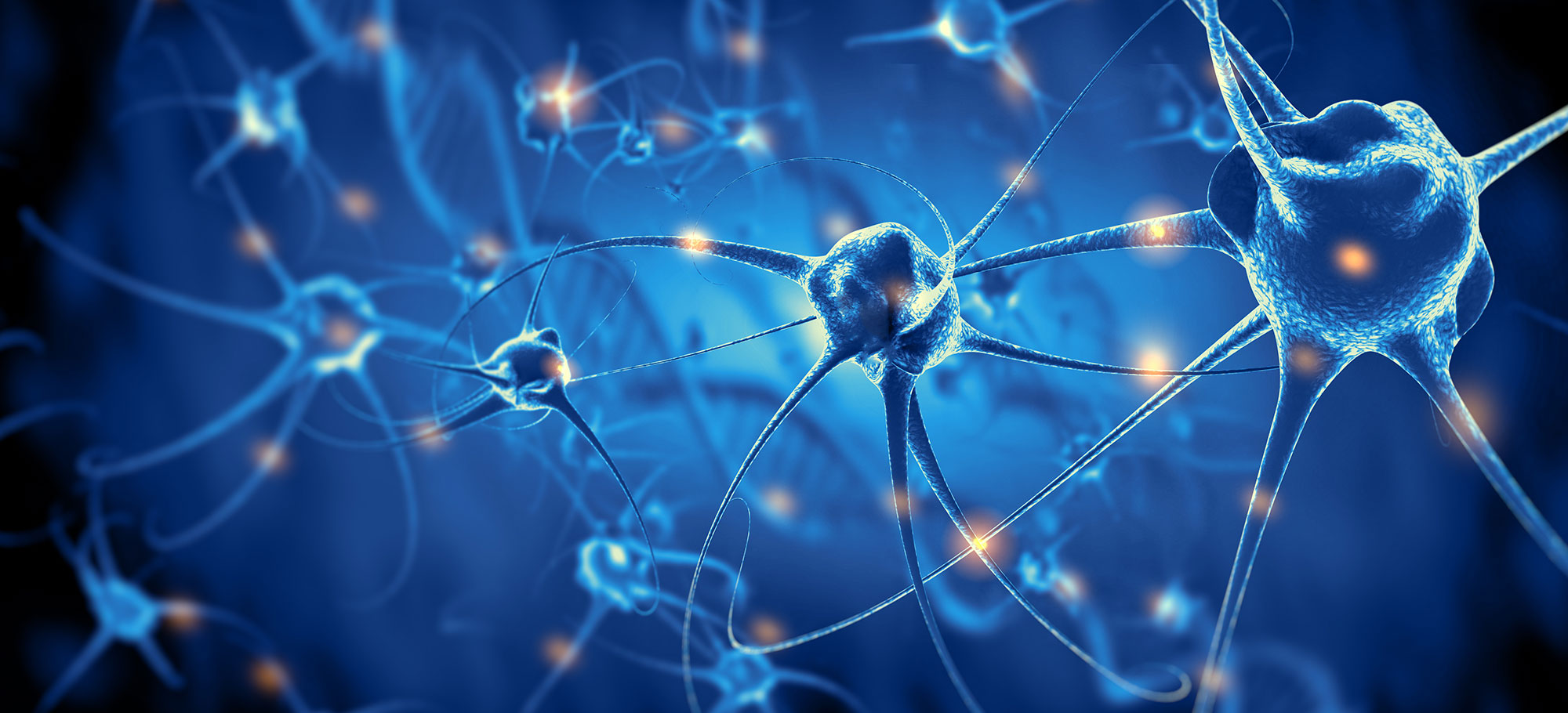 Prizmatix - Unique High Power Leds | Speciality LED Light Sources